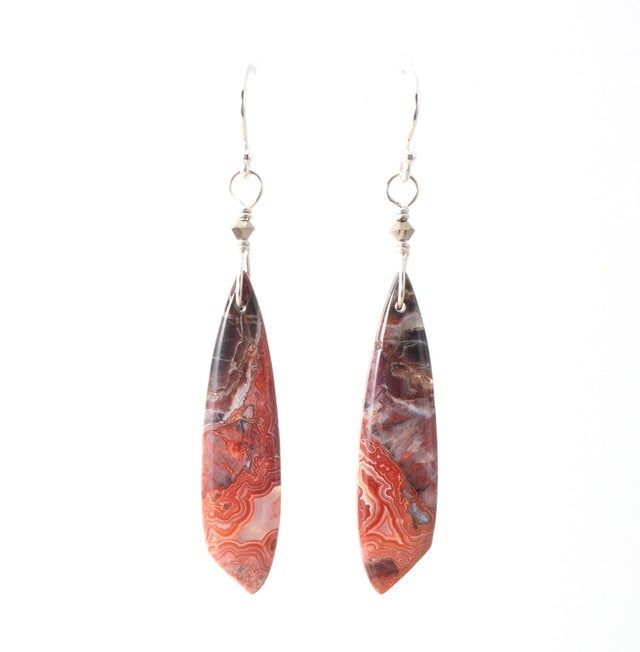 Earthly Delights at Amy Zane